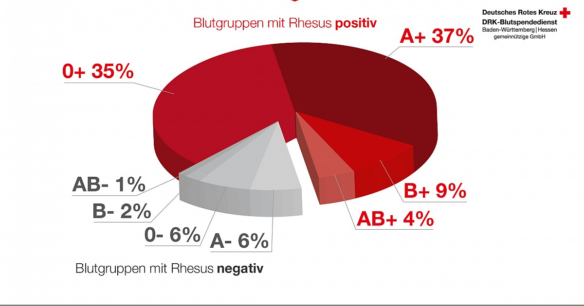 Blutgruppen-Verteilung und ihre Bedeutung fürs Blutspenden | DRK Blutspende-Magazin